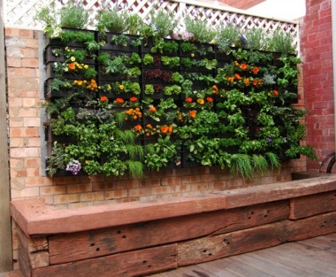 Move over green walls, edible walls are coming through