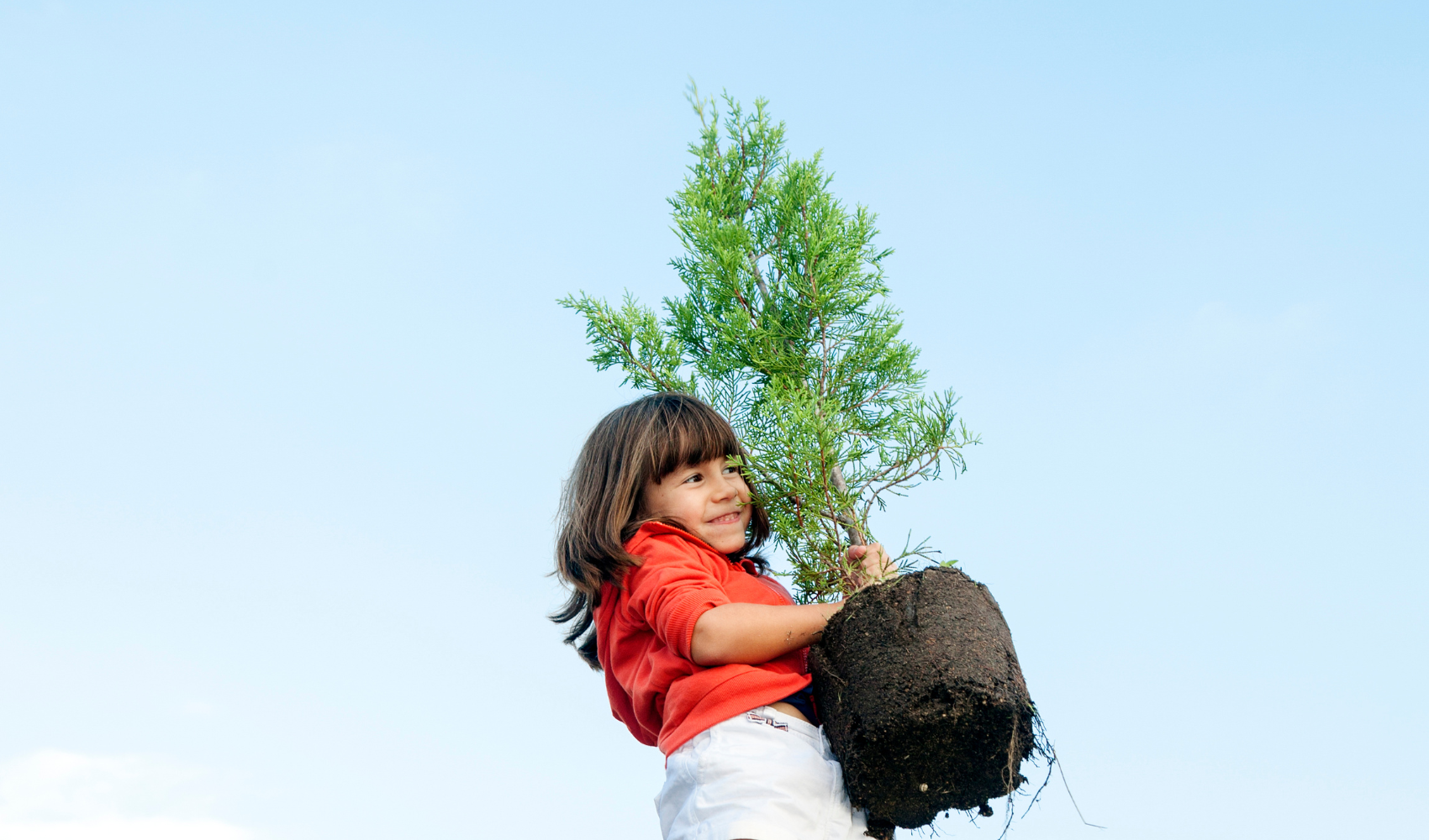 How many trees equal a human life? | Planning | The Fifth Estate