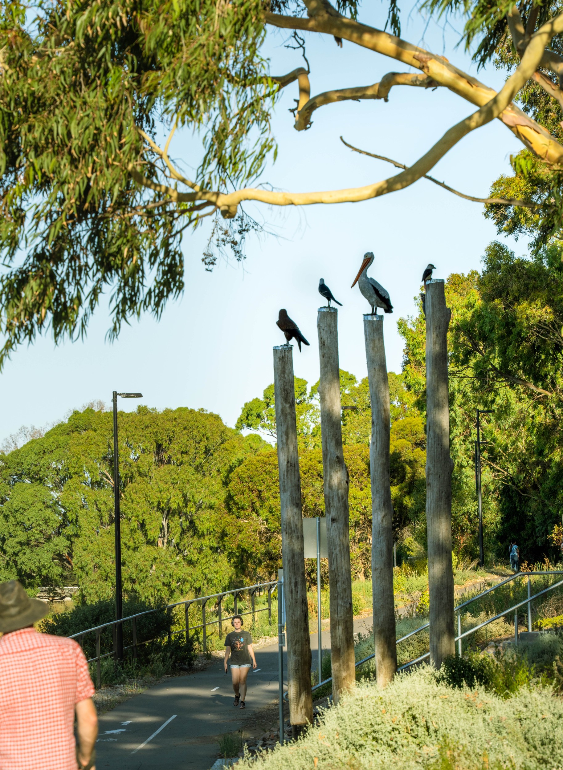 Climate positive designs at the forefront of AILA award winners ...